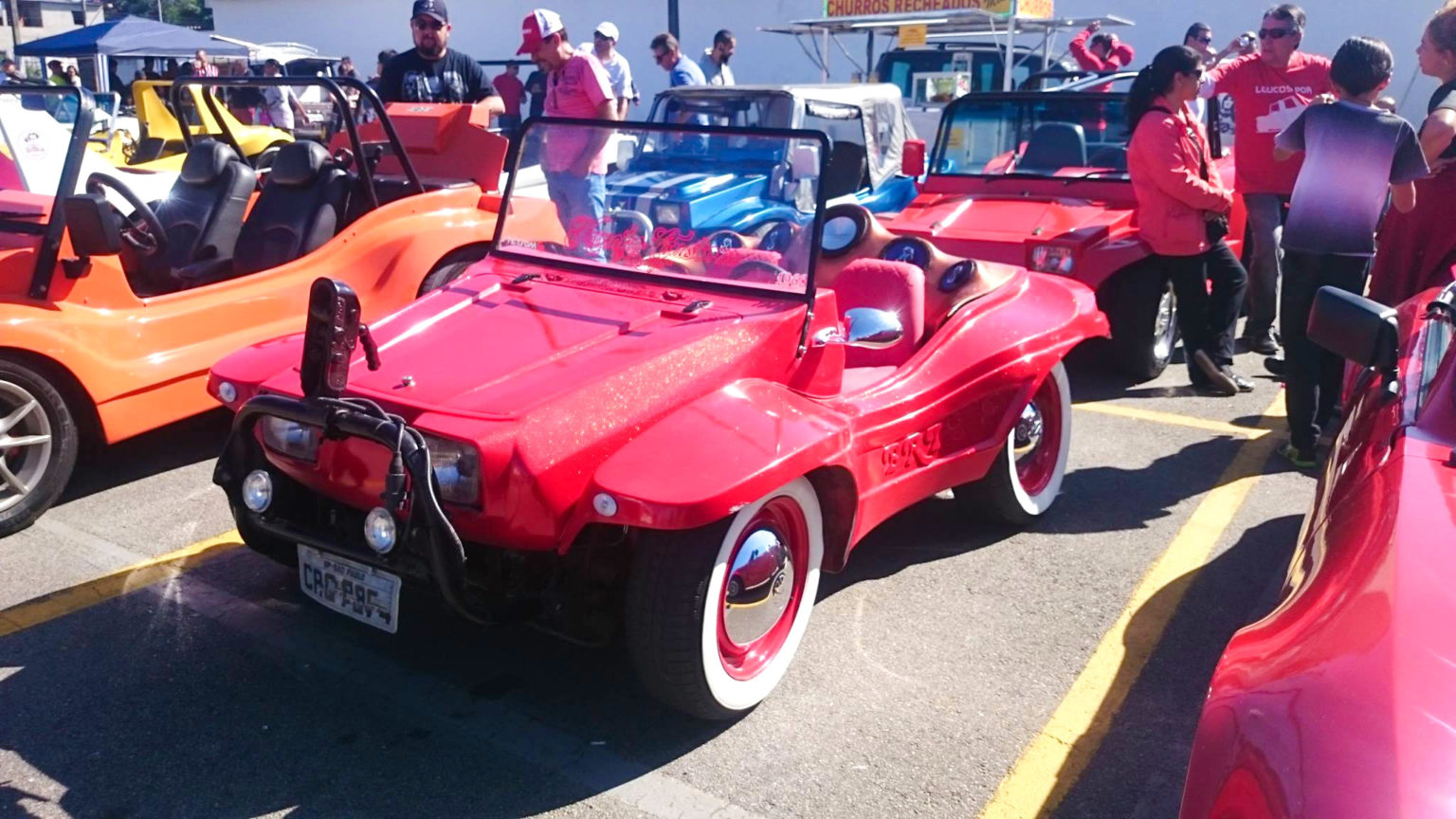 Buggy Bird Do Werla - Planeta Buggy